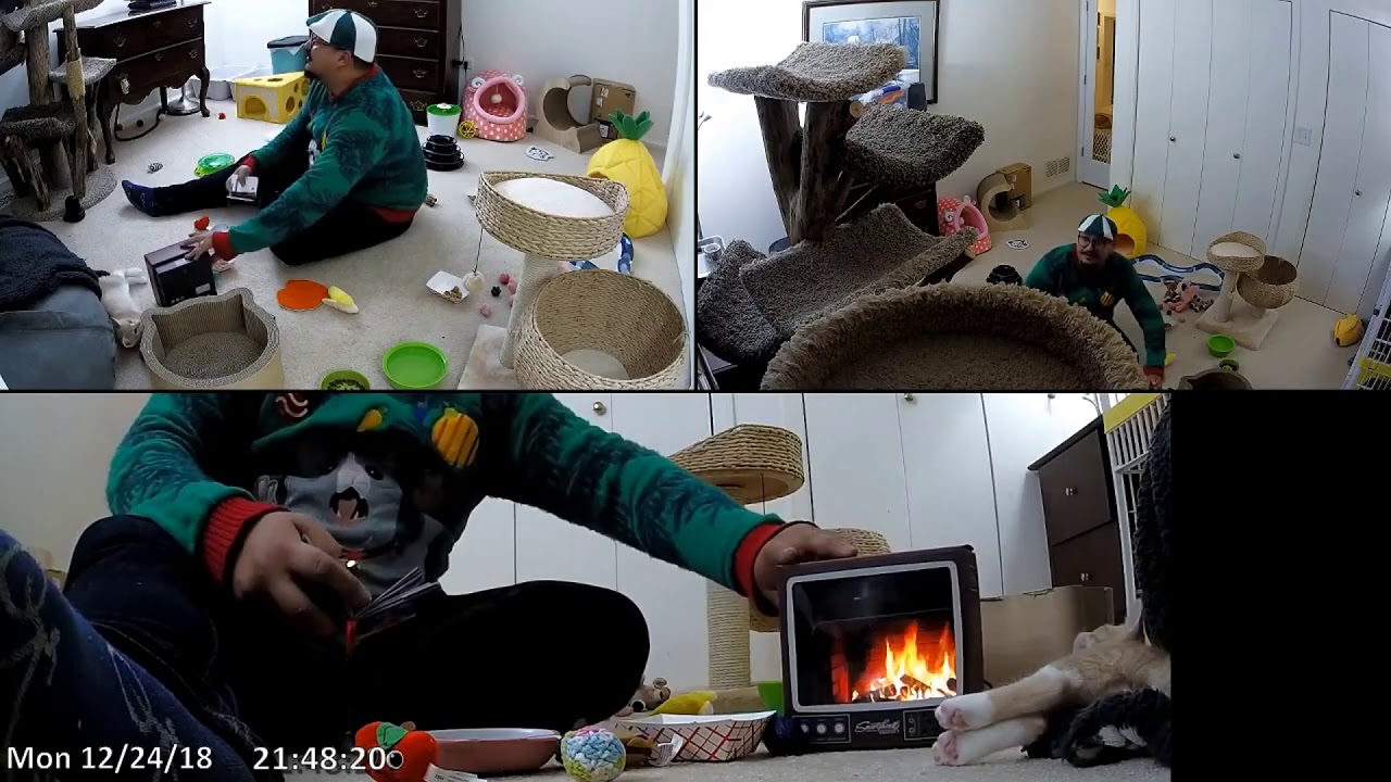 Catmas Eve Storytime with Prodigy, Wise, Book, and JimmyD - YouTube