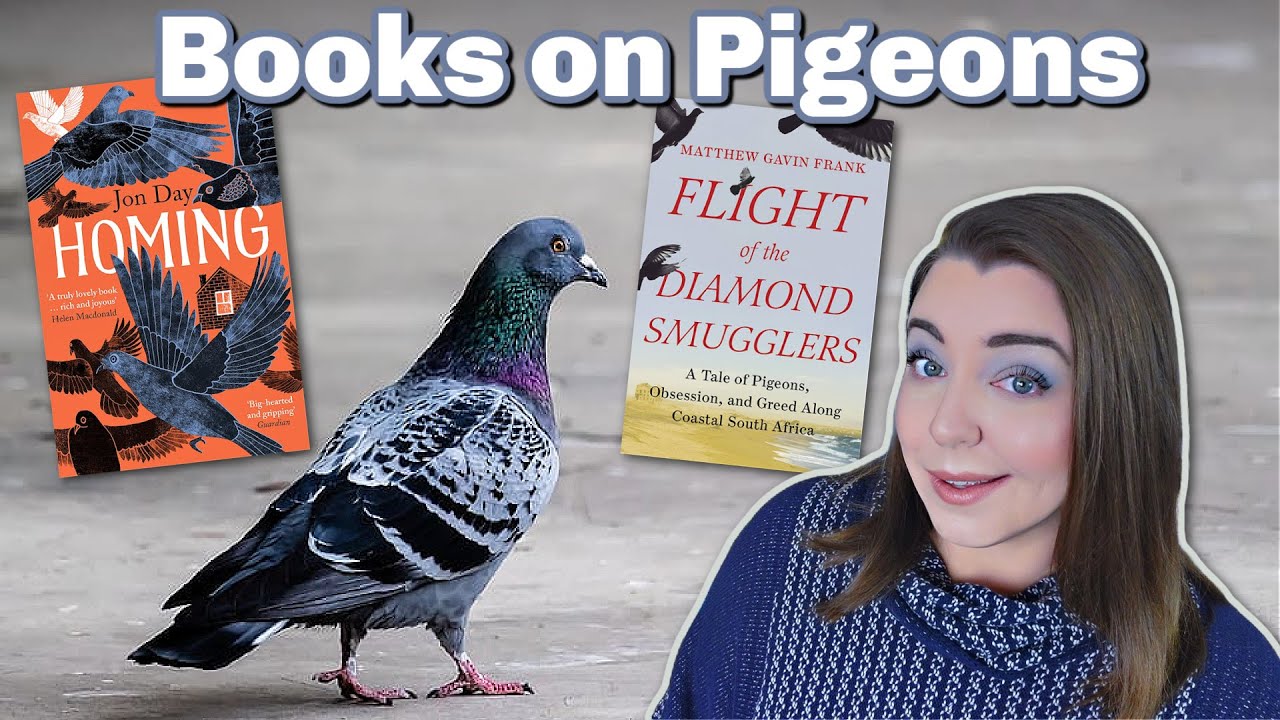 2 Books on Pigeons | Book Reviews - YouTube