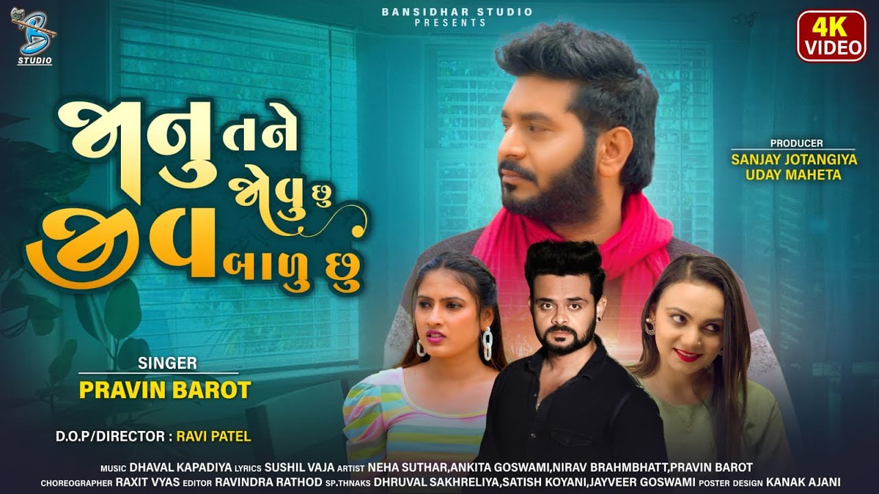 જાનુ તને જોવ છું જીવ બાળુ છુ | Pravin Barot | Janu Tane Jov Chhu Jiv ...