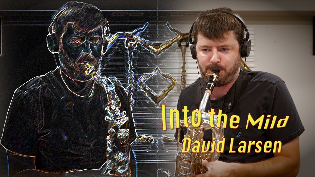 Into the Mild by David Larsen - YouTube Music