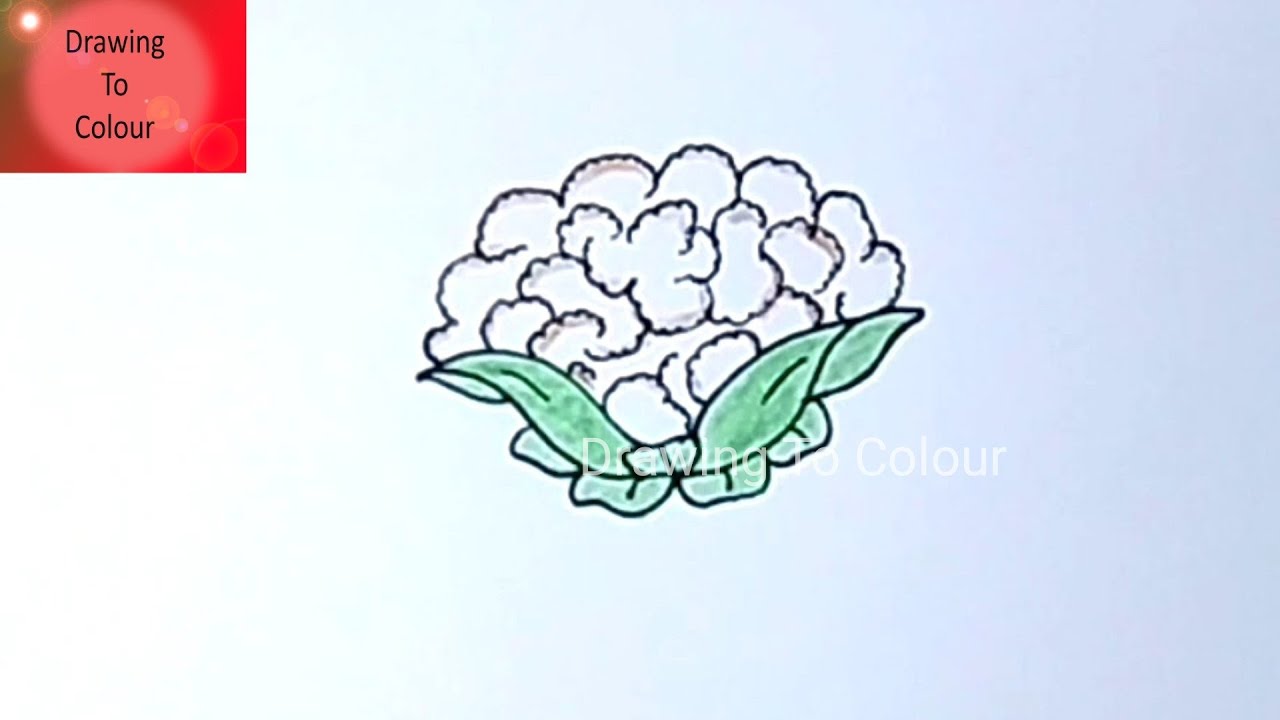 How To Draw Cauliflower Easy | Vegetable Drawing Tutorial | Cauliflower ...