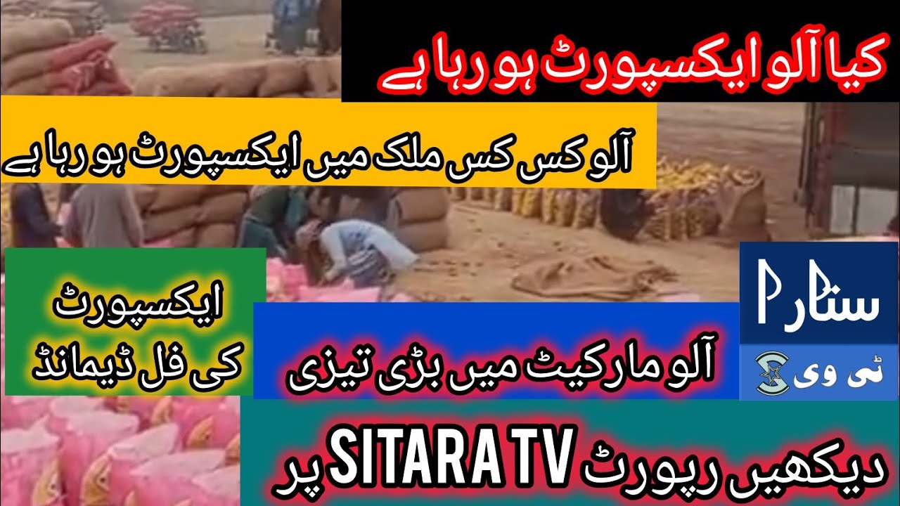potato export Pakistan // export potato 2025 - YouTube