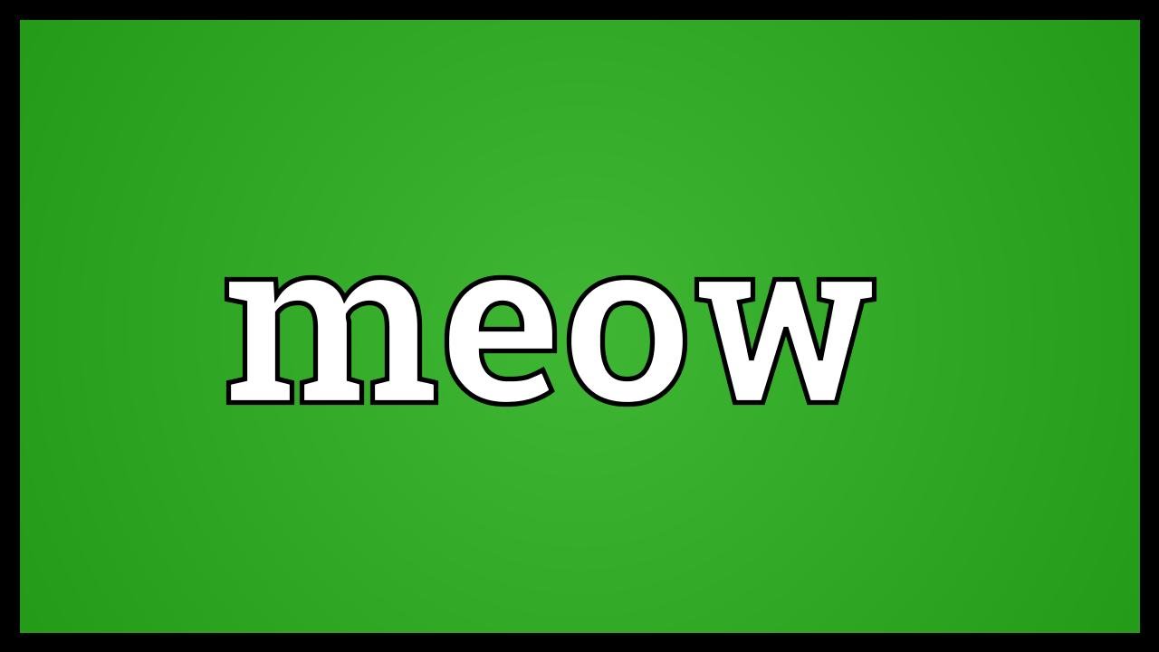 Meow Meaning - YouTube