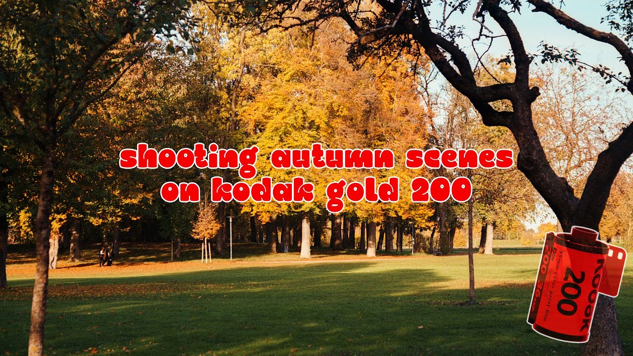 Shooting autumn scenes on Kodak Gold 200 - YouTube