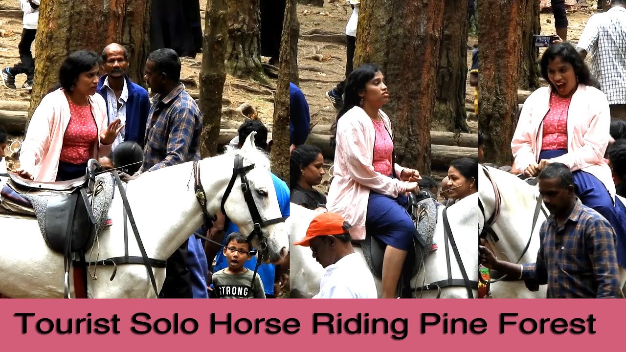 Kodaikanal Pine Forest Tourist Solo Horse Riding ! - YouTube