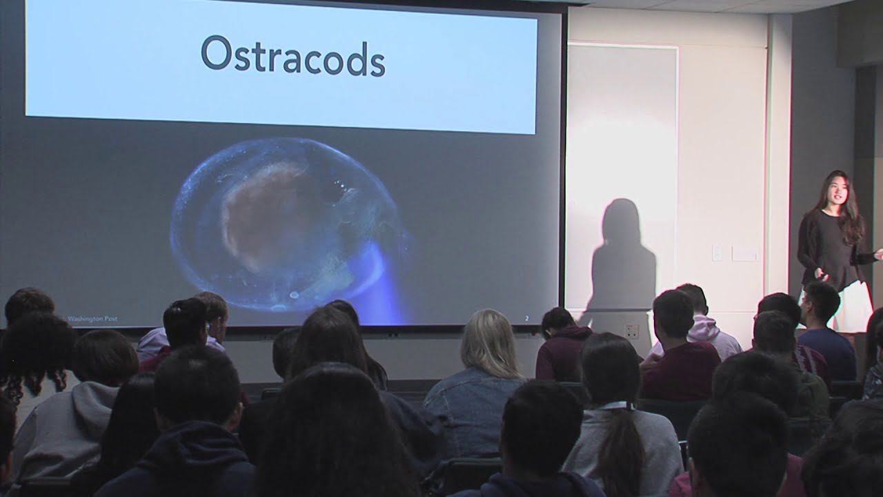 Genetic Factors in the Evolution of Ostracod Bioluminescence: Camilla ...