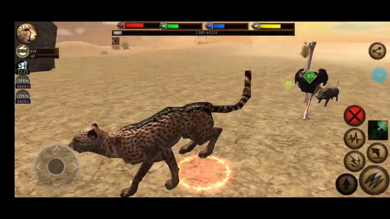 Cheetah vs Os Ultimate SAVANNA SIMULATOR Exp 1787 - YouTube