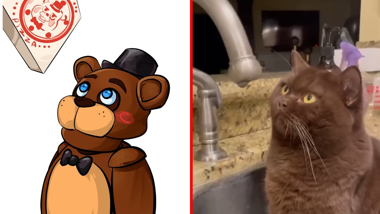 😂Cat Memes: Cats Сosplay FNAF for Halloween 🎃👻 New Funniest Animals ...