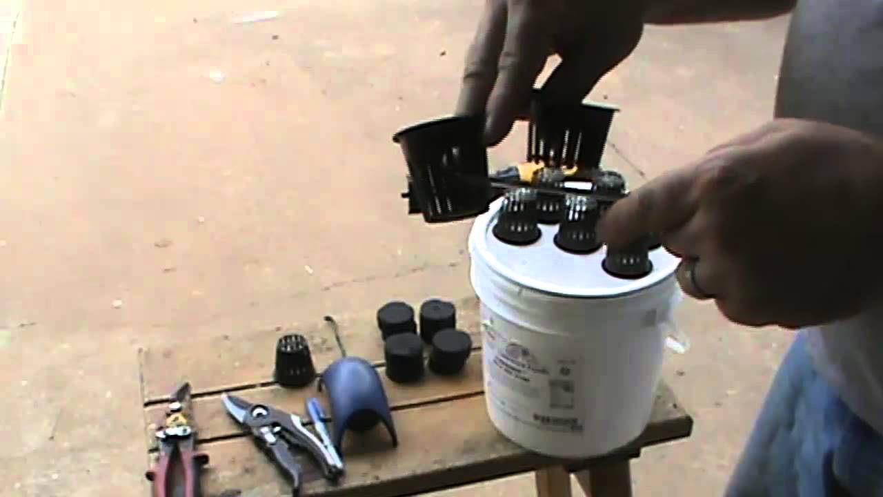 7 3 14 how to make a Hydroponic Cloner part1 - YouTube