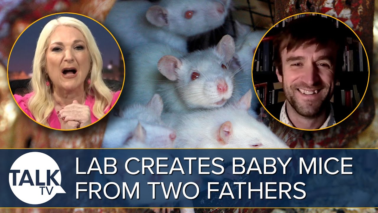 Lab Creates Mice From Two Fathers in scientific breakthrough - YouTube