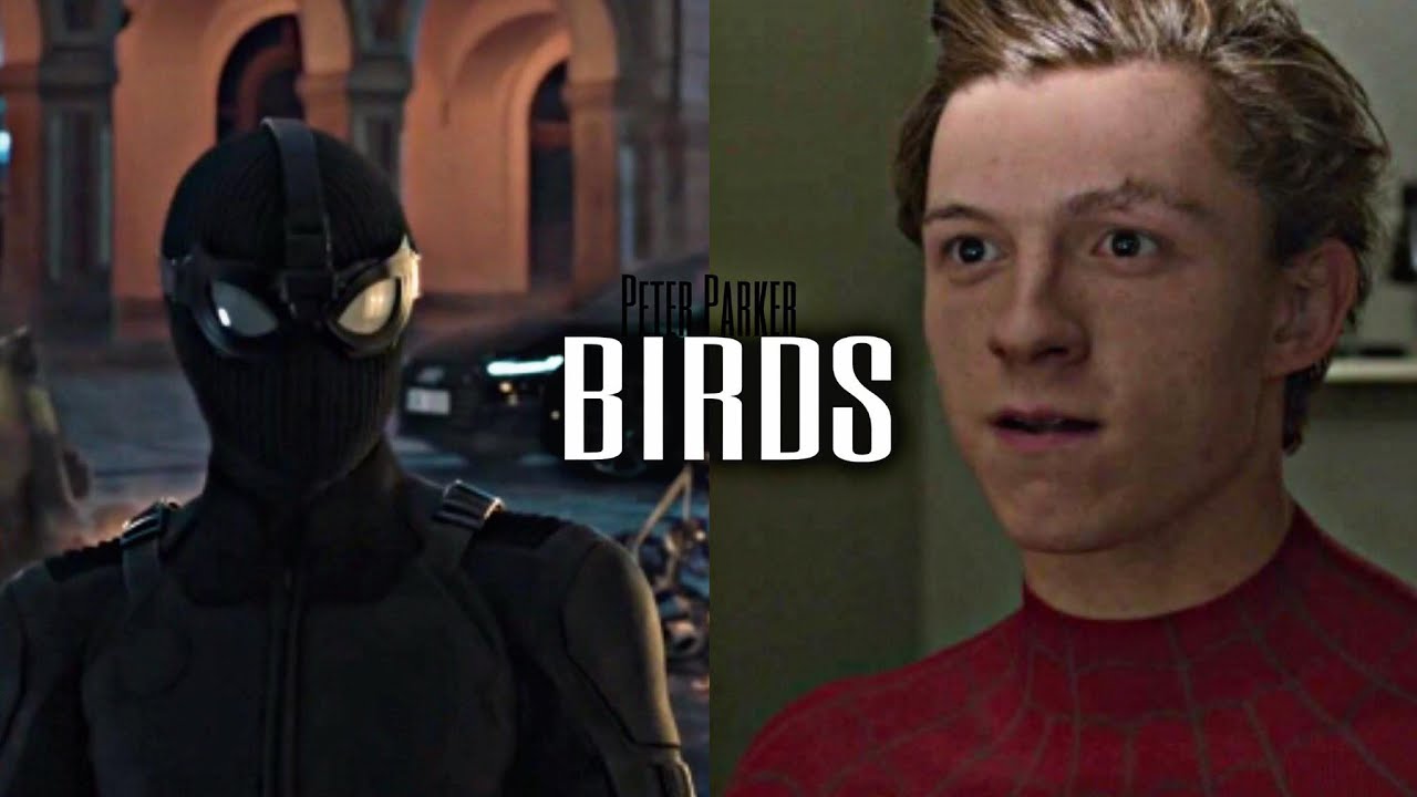 Peter Parker (Spider-Man) || Birds - YouTube