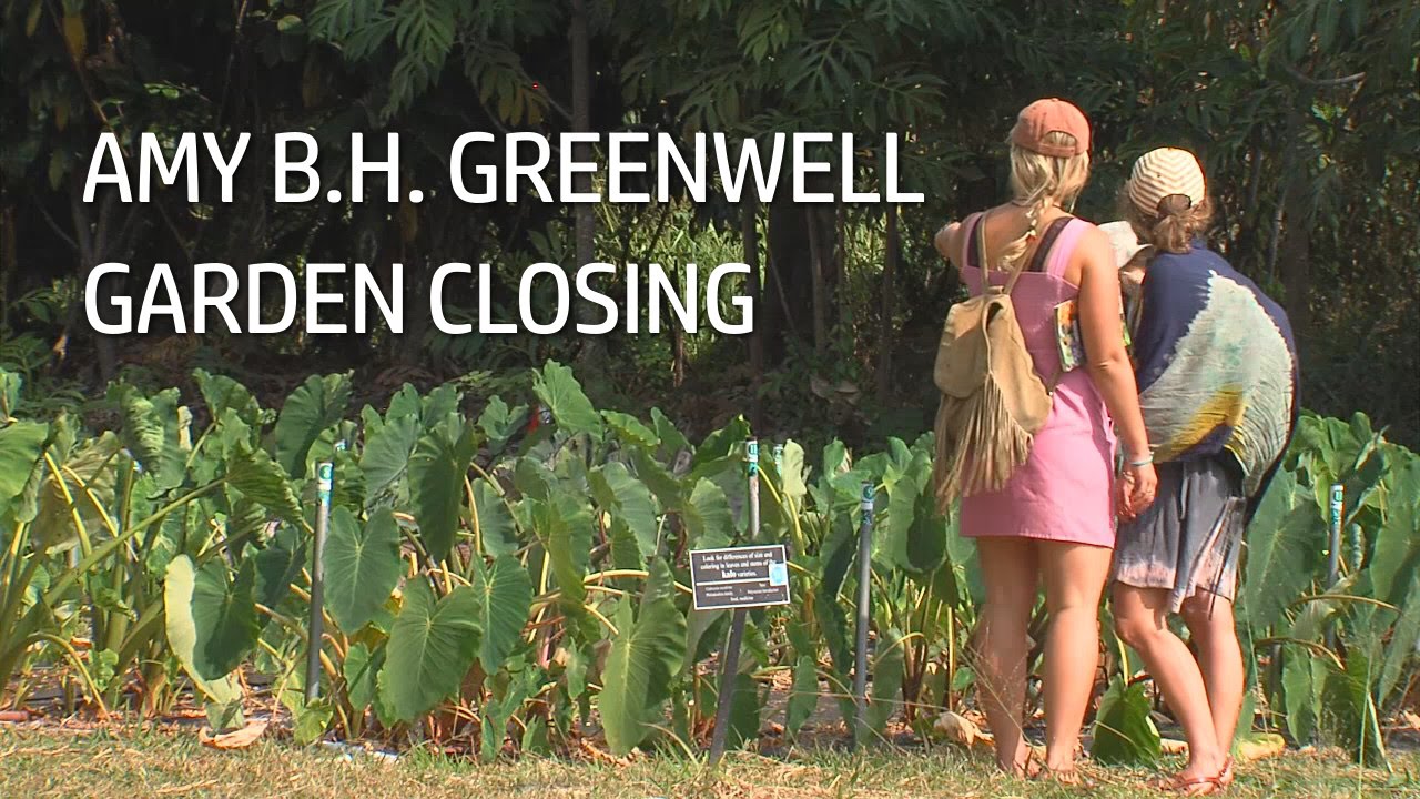 Amy B.H. Greenwell Ethnobotanical Garden Closing - YouTube