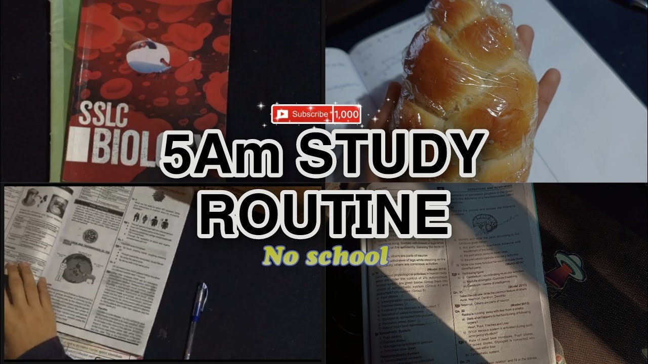 5 am study routine 📖🍄🤍|No school version|#1ksubscribers special - YouTube
