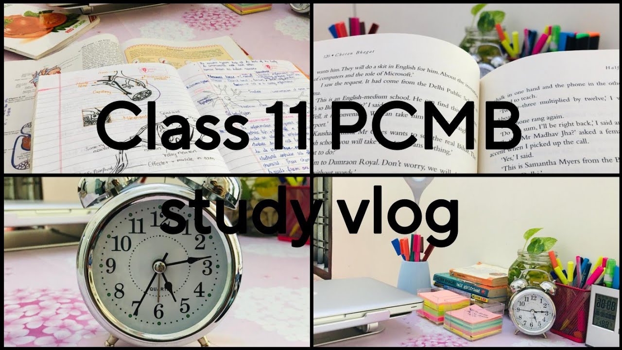 Class 11 study vlog | PCMB 🖤 STUDENT💖 | a day in my life of 11th grader ...