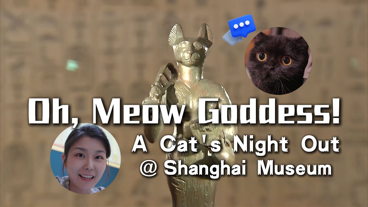 Oh, Meow Goddess! A Cat’s Night Out at Shanghai Museum - YouTube
