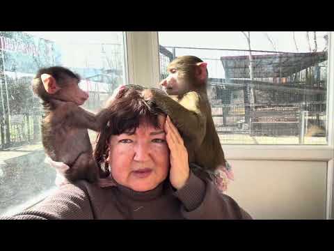 Я уже не дождусь когда прийдет Влад, Анфиса с Николь достали меня своими криками и царапушками❤️