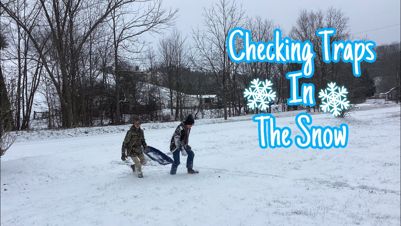 Checking Traps in Snow! *VIRGINIA* Ep.14 - YouTube