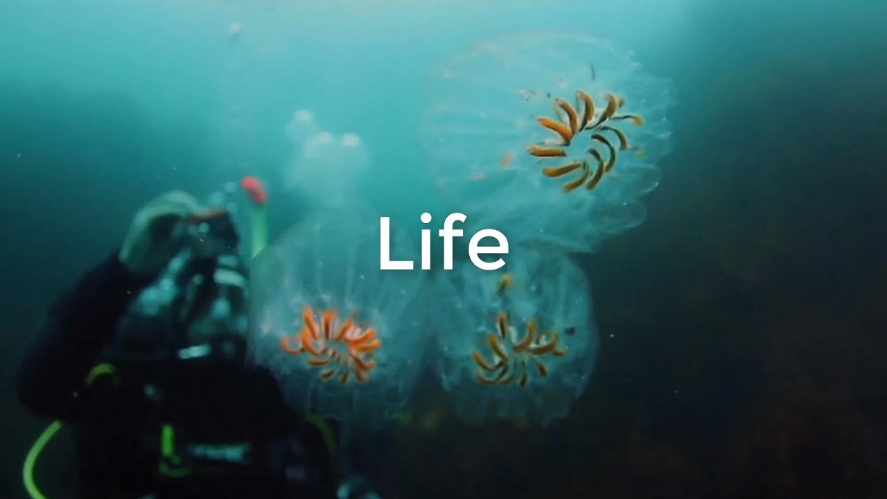 [432Hz] God x Jesus Type Beat 2021 - "Life" | @MsBoi - YouTube