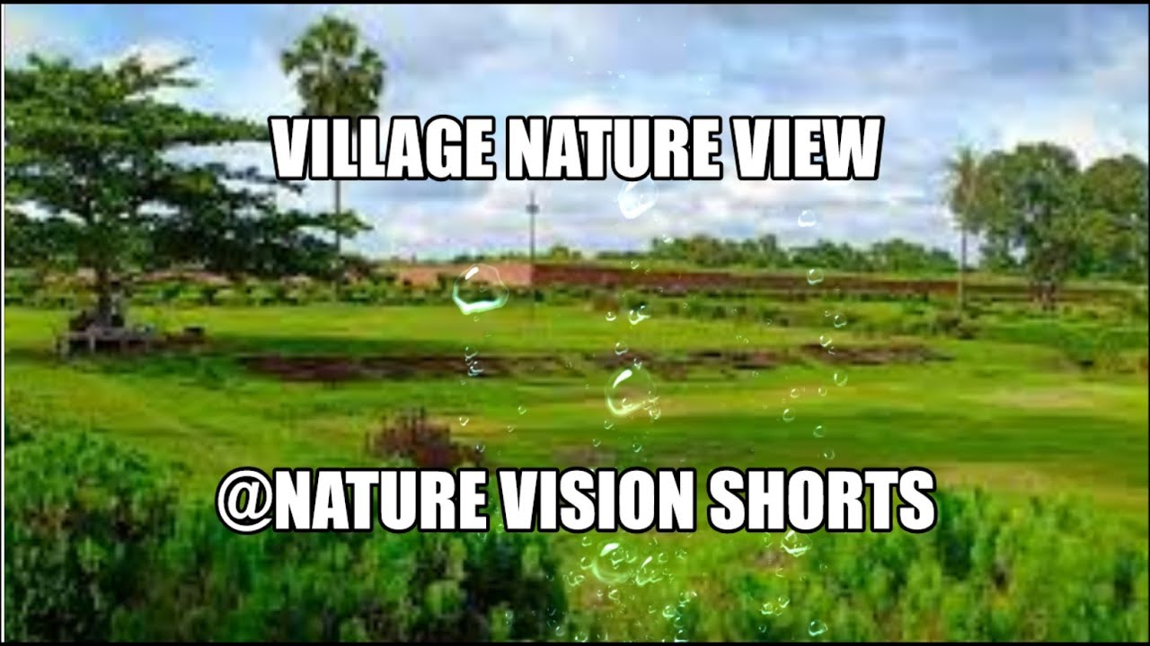 Village Nature View || @Nature Vision Shorts - YouTube