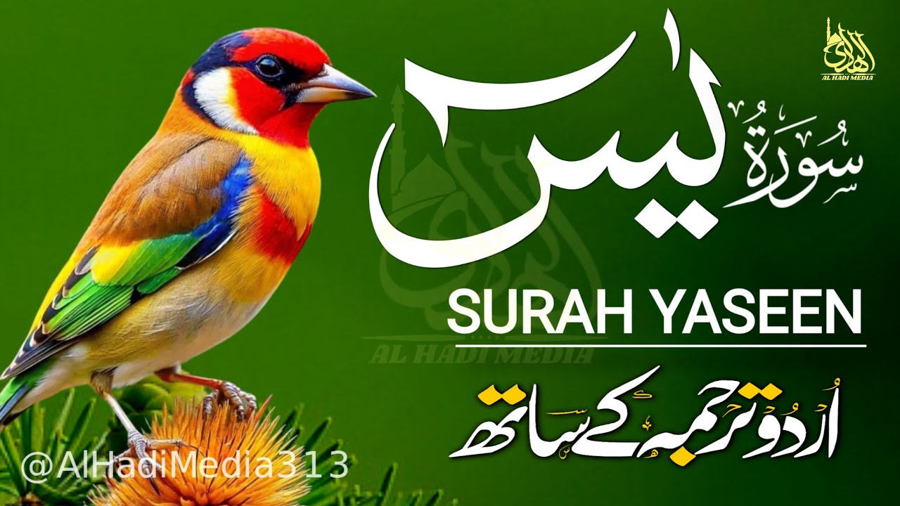 Surah Yaseen with Peaceful Recitation | القرآن الكريم | Episode - 563 - YouTube