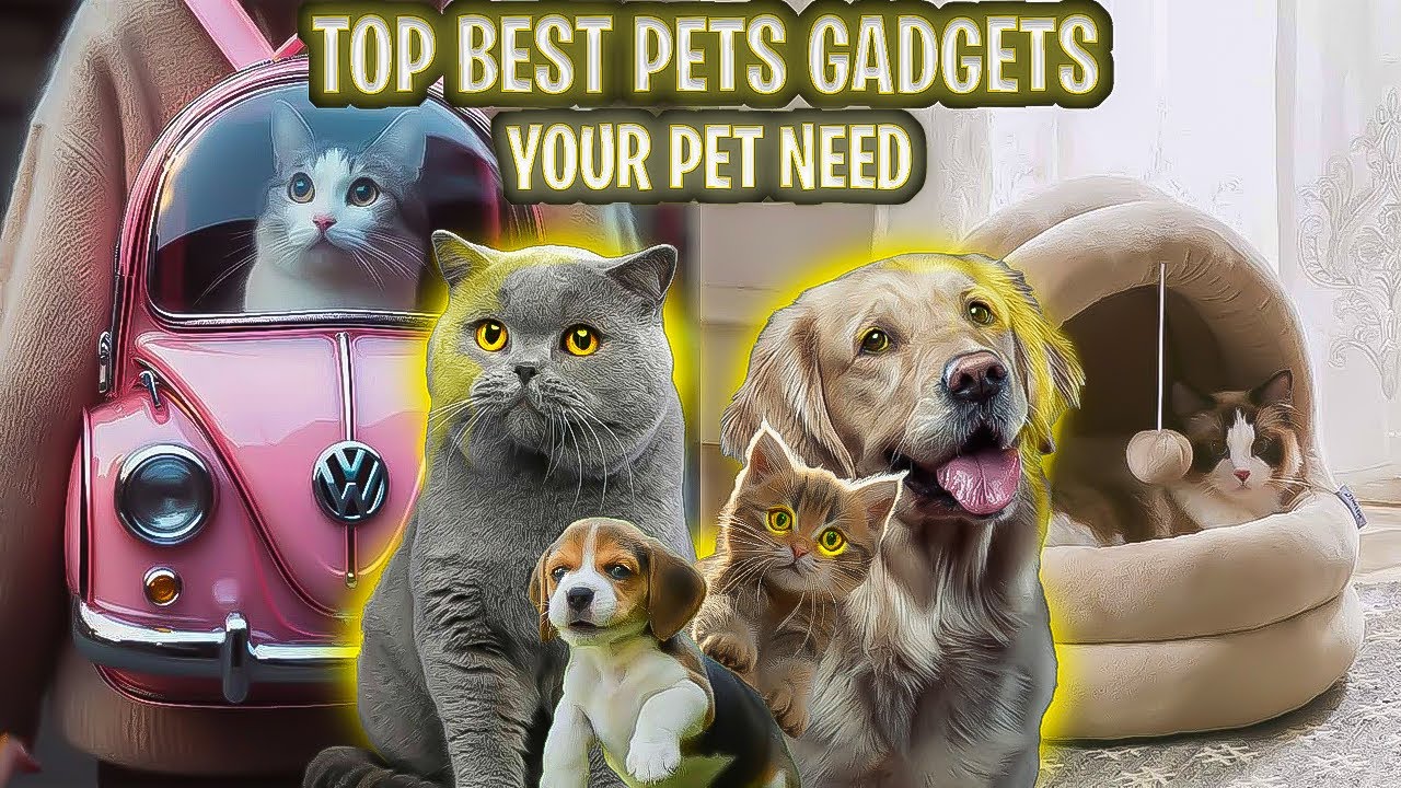 Top 15 Amazon Products Every Pet Lover Needs || Top 2025 Amazon ...