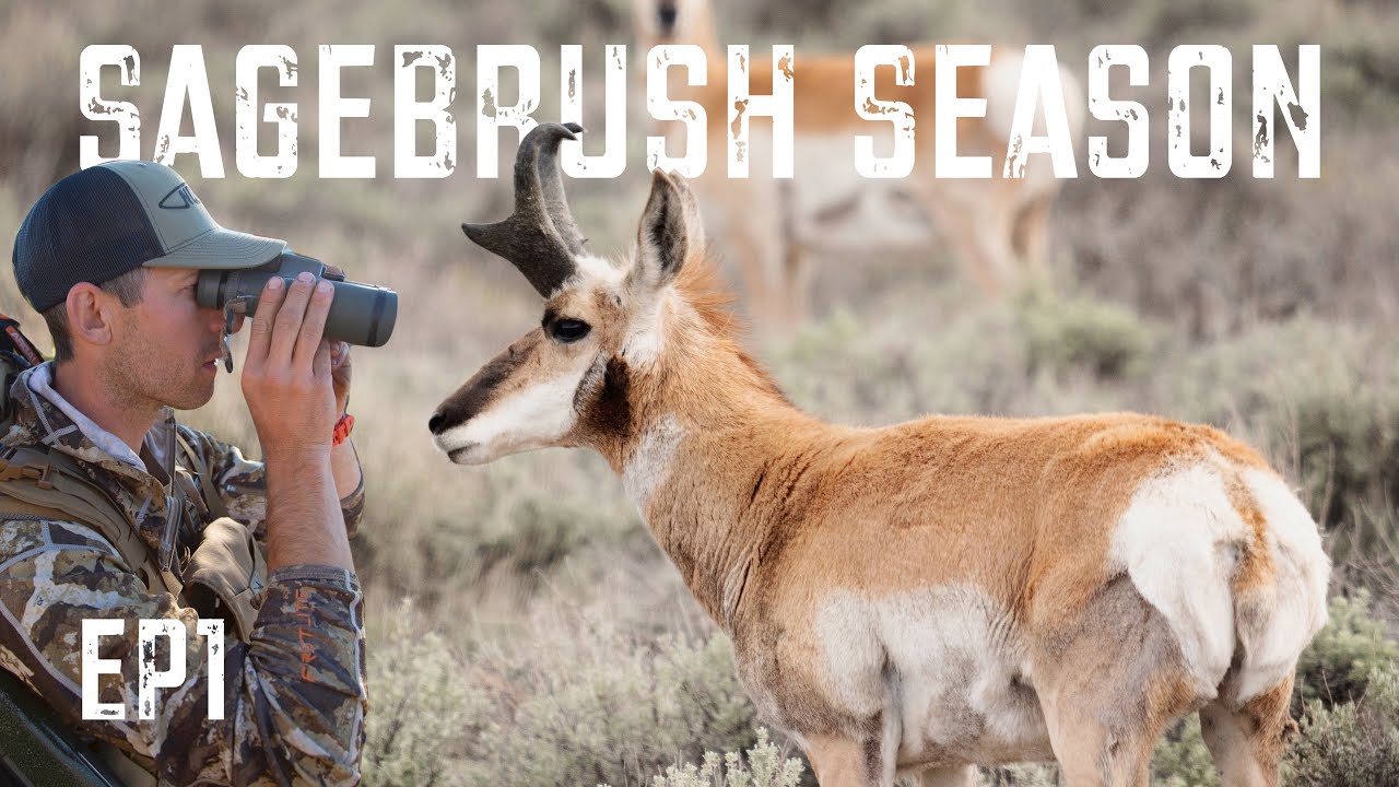 HUNTING WYOMING PRONGHORN ANTELOPE - EP1 - YouTube