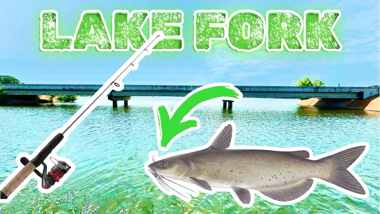 SMASHING the catfish on LAKE FORK with dock demons - YouTube