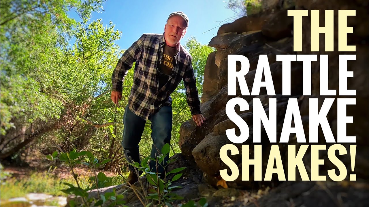 The Rattlesnake Shakes! - YouTube