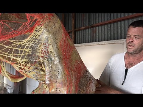 PATRICK SHIELDS STUDIO VISIT - YouTube
