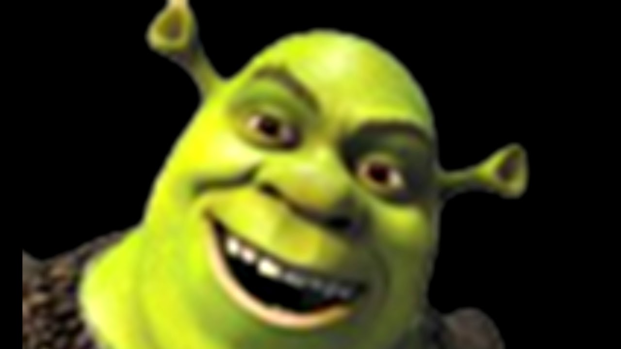 Shrek 3 but it's 1 second long and every frame is replaced with Shrek's ...