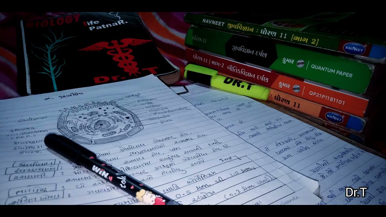 study lover ️🌿 ️ ️💖🐰🌻🌿 ️🌿🌻🌿😜🌿🌻😜🌿🌻🌻🌱😜🌿💖🌿 ️🌱💖🌿 ️🌱🌻😜🌱🌻😜🌻 ️ ️ ️ - YouTube