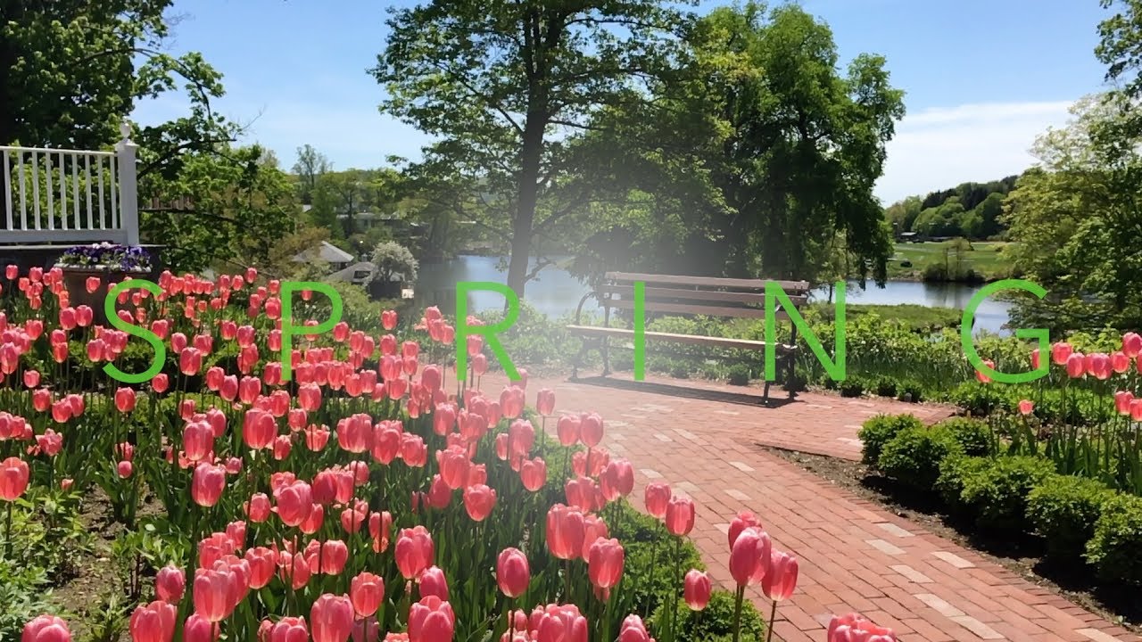 Smith College - The Campus in Spring May 2017 - YouTube