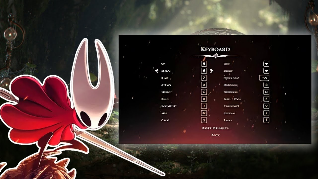 Hollow Knight Silksong Best Keybinds Settings for Keyboard PC - YouTube