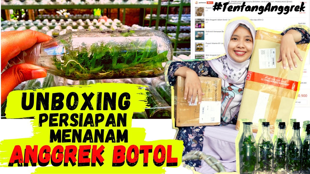 UNBOXING ANGGREK BOTOL MURAH 60.000 DAPAT 30 BIBIT ANGGREK& BAHANNYA ...