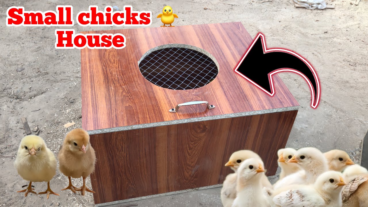 How to make chicks house with wood - YouTube