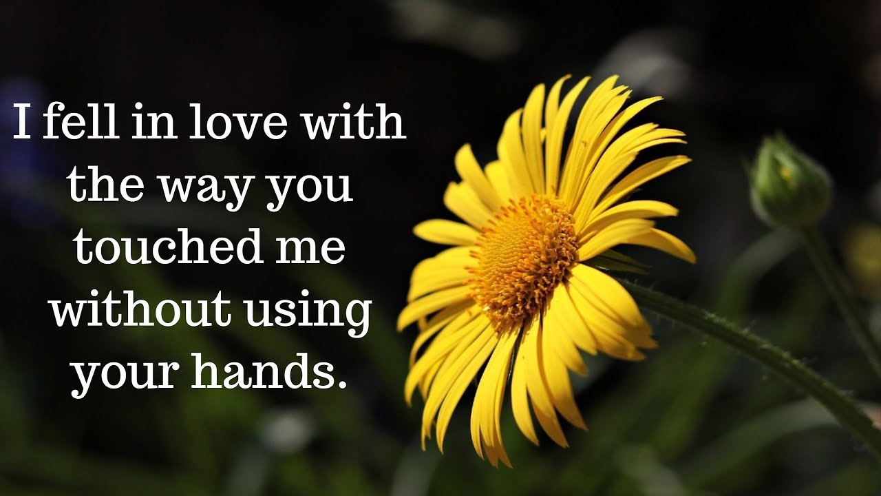 I fell in love with the way you touched me without using your hands. - YouTube