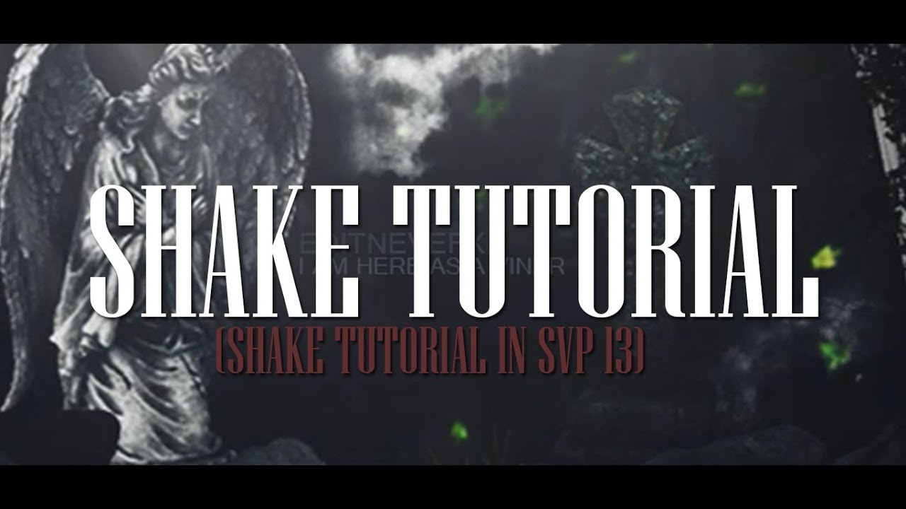 SVP TUTORIAL l SHAKE AND APPROXIMATION - YouTube