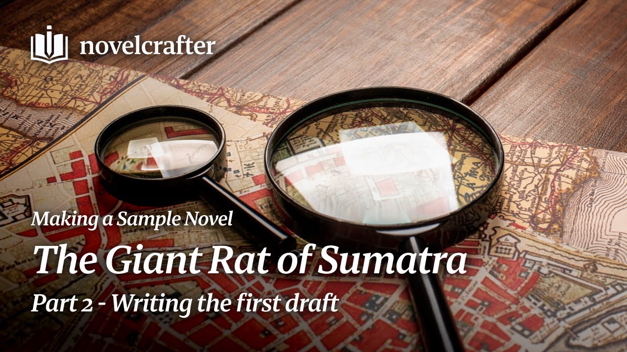 Writing a Sample Novel Part 2: Writing the First Draft - Novelcrafter ...