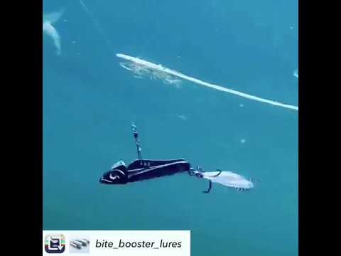 Amazing action of La Pitoune by Bite Booster Lures! - YouTube