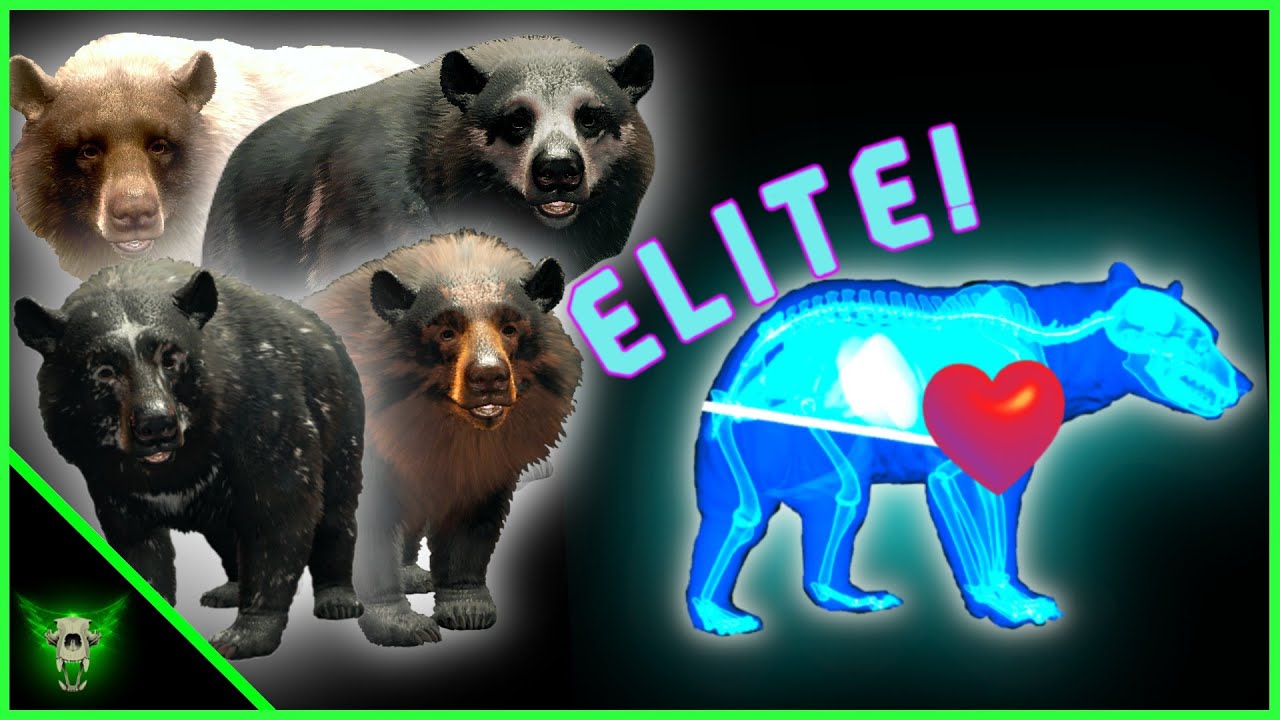 Two Years of EPIC Heartshots and Nine Great One Black Bears! TheHunter: Call of the Wild - YouTube