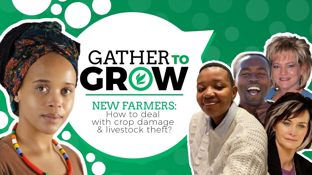 NEW FARMERS: How to deal with crop damage and livestock theft - YouTube