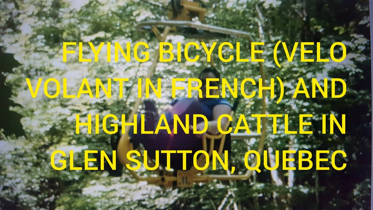 FLYING BICYLE (VELO VOLANT IN FRENCH) (& HIGHLAND CATTLE AT , GLEN ...