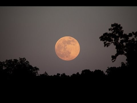 Rare Event Sees The Full Moon Fall On Friday 13th - And It Won't Happen ...