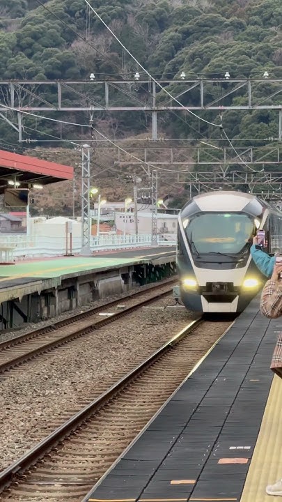 [2025] JR E261 series (Saphir Odoriko サフィール踊り子) at Kawazu 河津 - YouTube