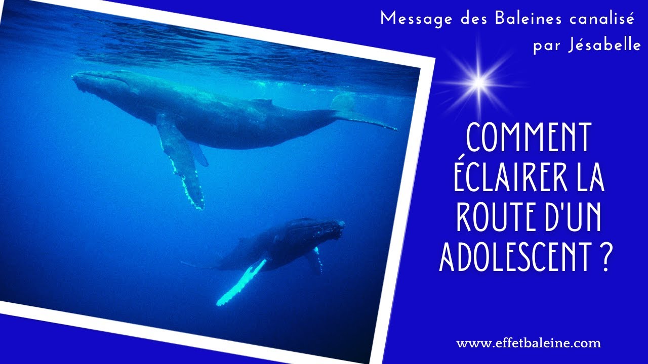COMMENT ÉCLAIRER LA ROUTE D'UN ADOLESCENT ?- Message d'Amour des ...