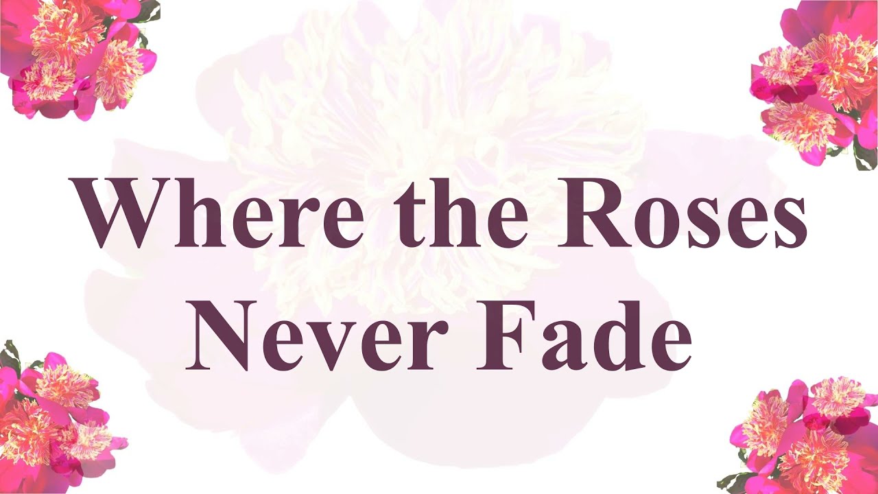 Where the Roses Never Fade (Instrumental + Lyrics) - YouTube