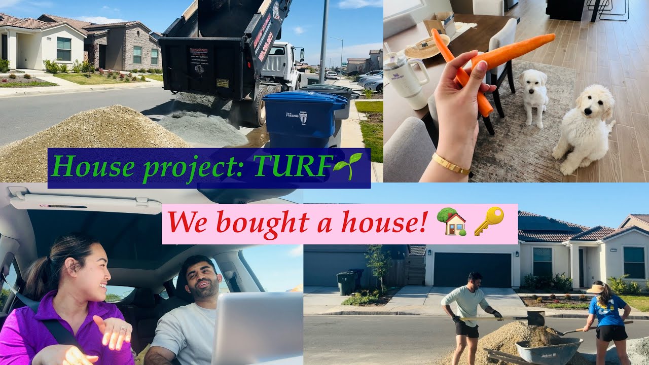 NURSE & SOFTWARE ENGINEER BUYS A HOUSE + backyard projects! - YouTube