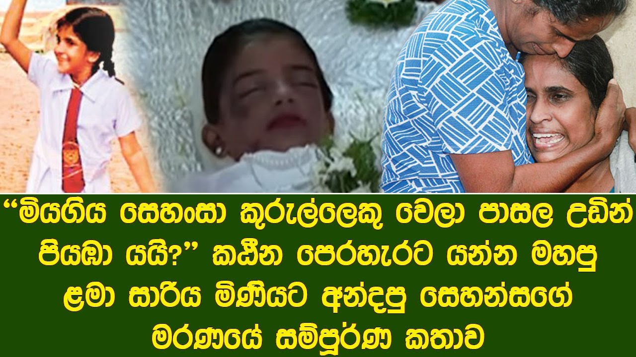 සෙහංස කුරුල්ලෙකුවී පාසලඋඩින් පියඹායයි මරණයටපෙර සෙහංසා සිහිනයෙන් දුටුදේ ...
