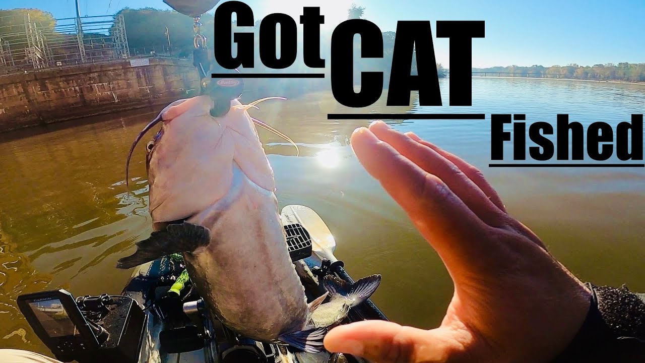 My BASS fishing trip got Cat Fished Tuckertown Reservoir BringleFerry ...