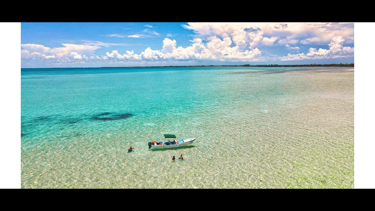 Piscina Natural Punta Allen - Dron Footage - DronProg.Com - YouTube